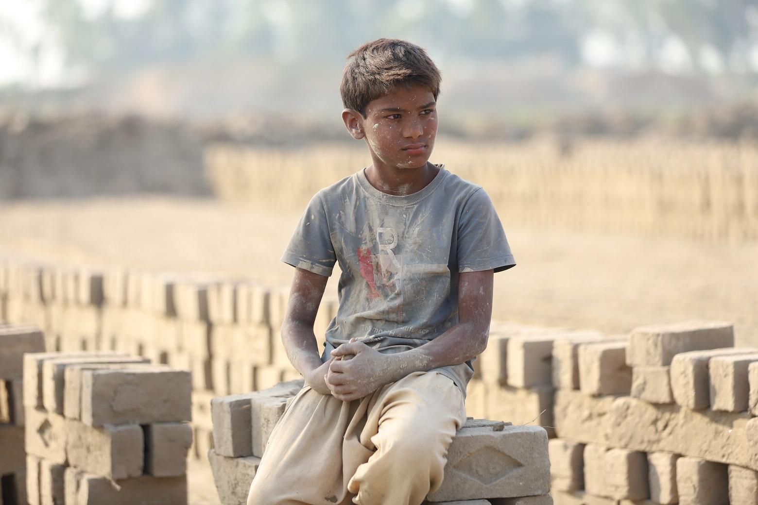 The Freedom Campaign | Al Mustafa Canada